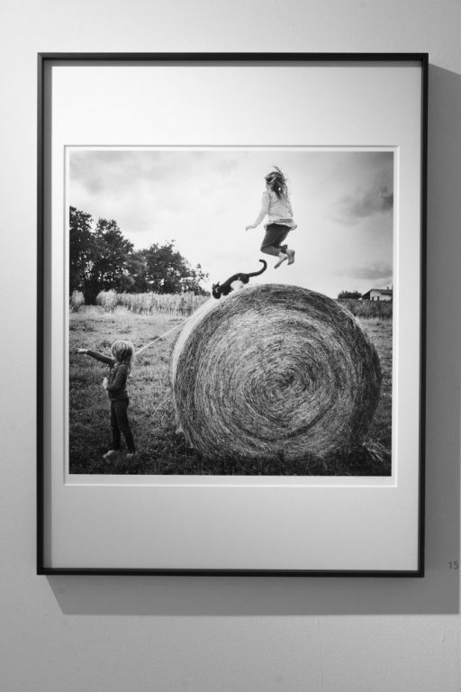 29 ARTS IN PROGRESS gallery