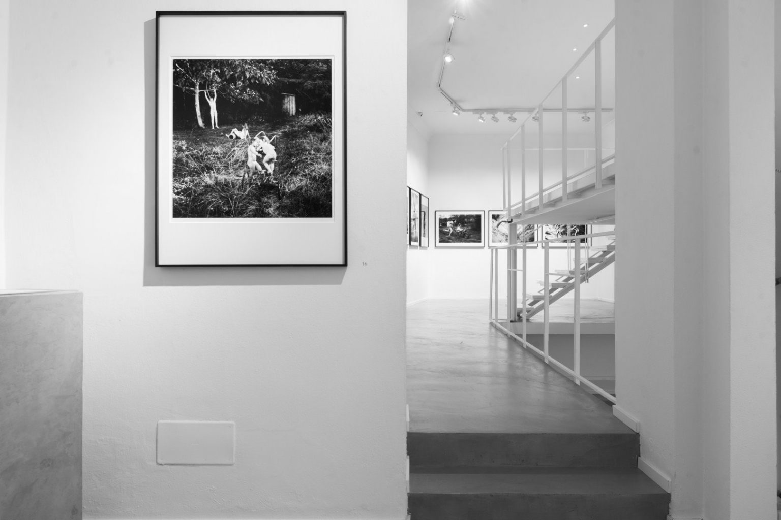 29 ARTS IN PROGRESS gallery