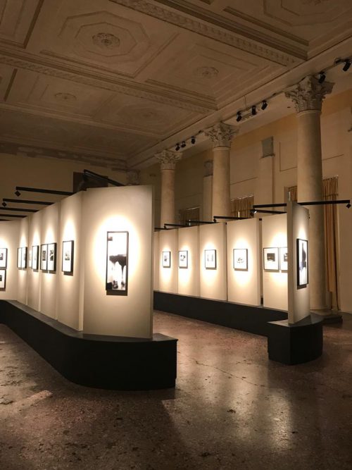 29 ARTS IN PROGRESS gallery