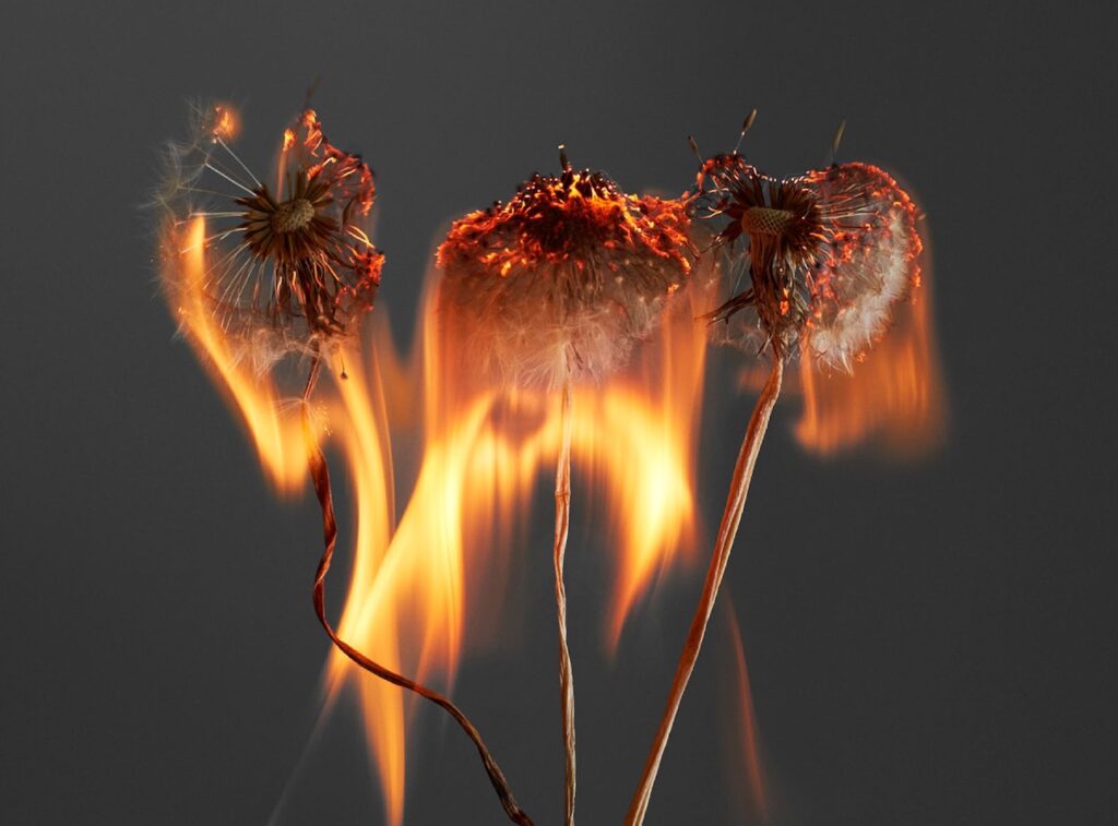 29 ARTS IN PROGRESS gallery