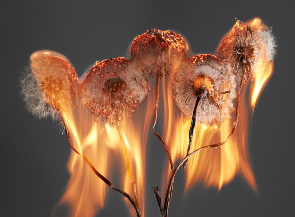 29 ARTS IN PROGRESS gallery