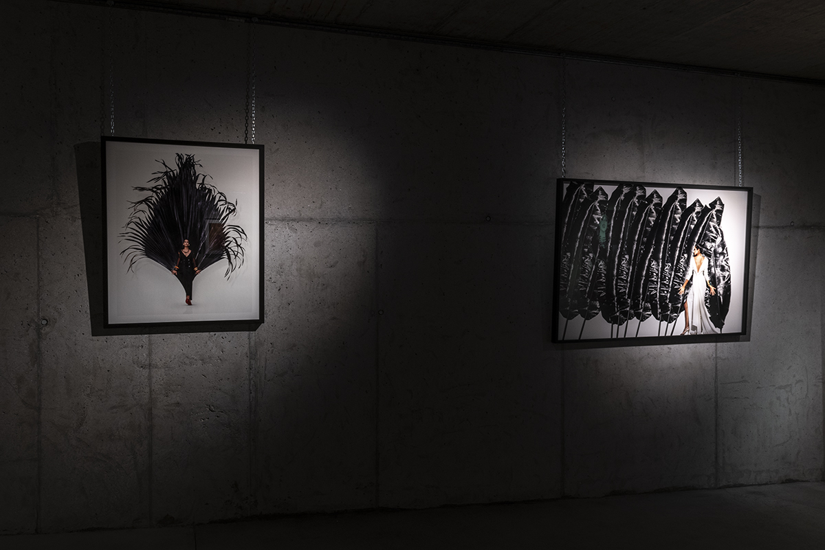 29 ARTS IN PROGRESS gallery