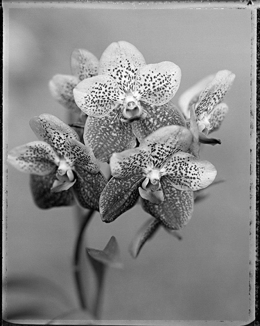 29 ARTS IN PROGRESS gallery